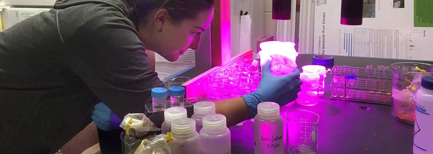 Biology B.S. | Georgia College